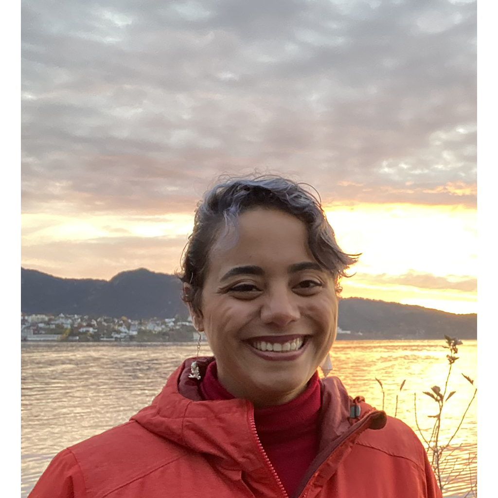 NETSL Annual Spring Virtual Conference: Lightning Talk Topic #1 ...